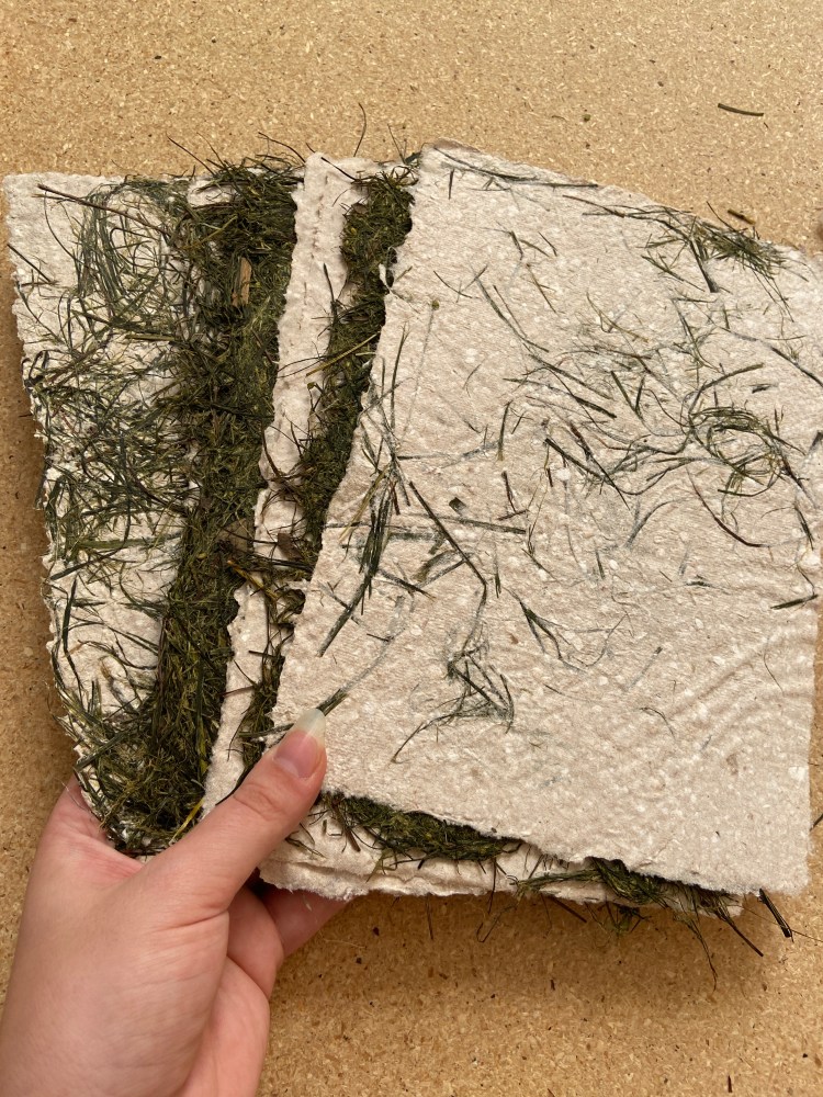 Cole Hancock: Traditional Craft and the Human Impact on Natural Spaces ...
