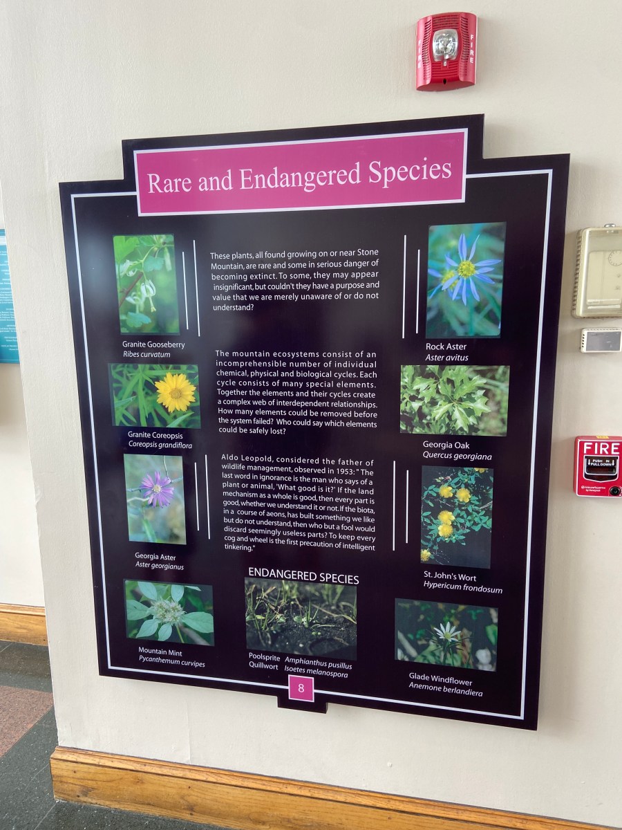 My Routine as a Student Activist Leader with PIRG – HSF House Blogs