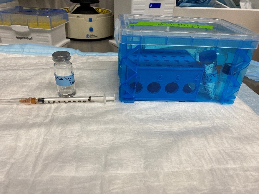 Lab Animal Care and Research Timeline Adaptation – HSF House Blogs